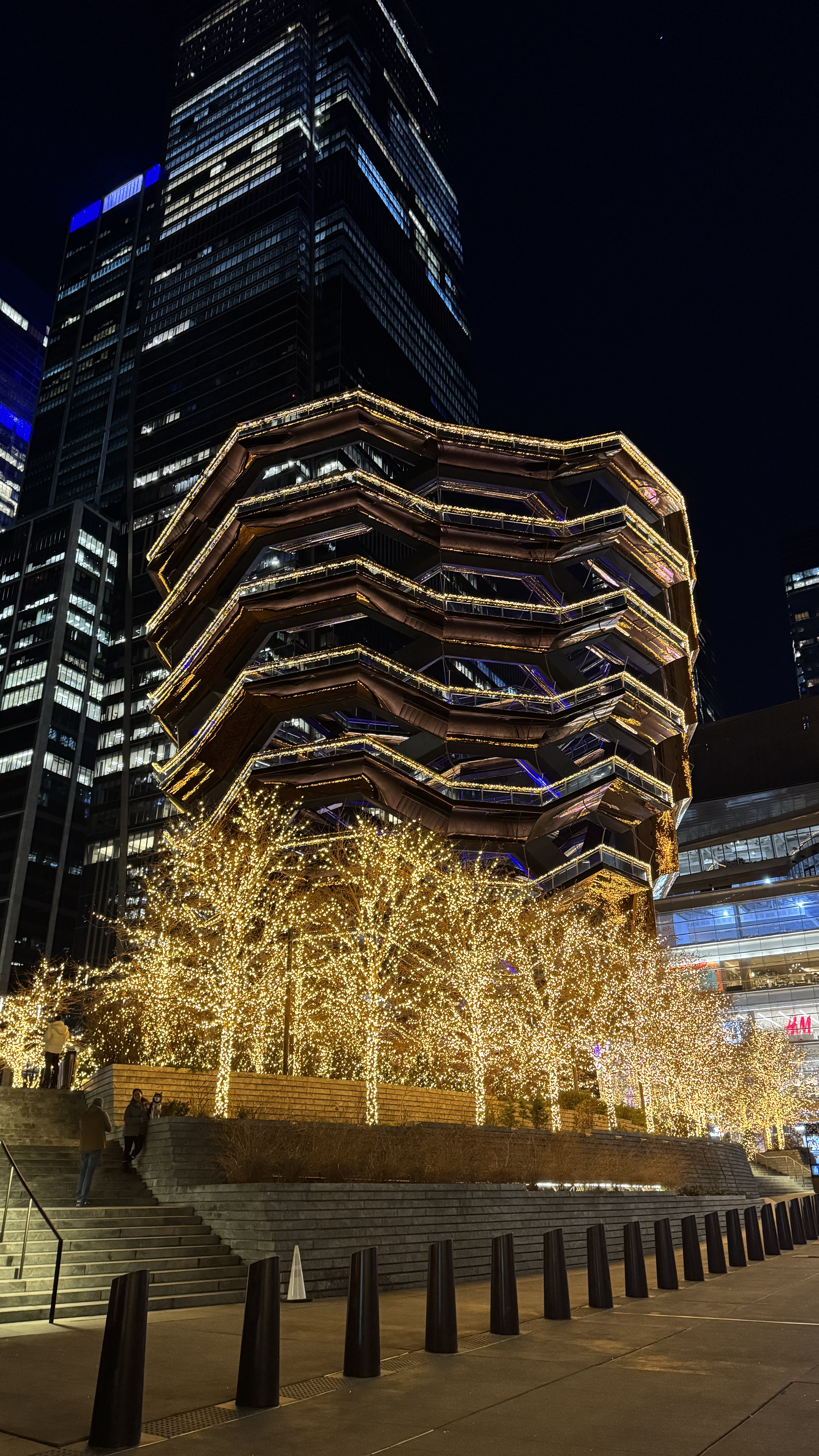 Sachi Joshi - Portfolio